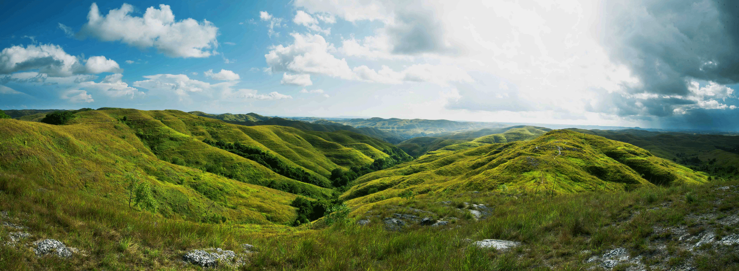 Haldin Pacific Semesta Planet - Haldin Pacific Semesta